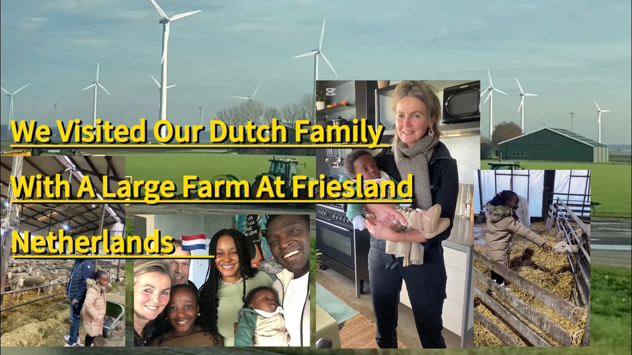 Dutch People Are So Welcoming. A Day In The Life Of A Dutch Farm Family ...
