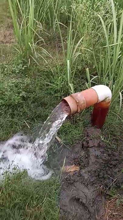 gulabe se kheto ki sinchayi - YouTube gulabe se kheto ki sinchayi - YouTube