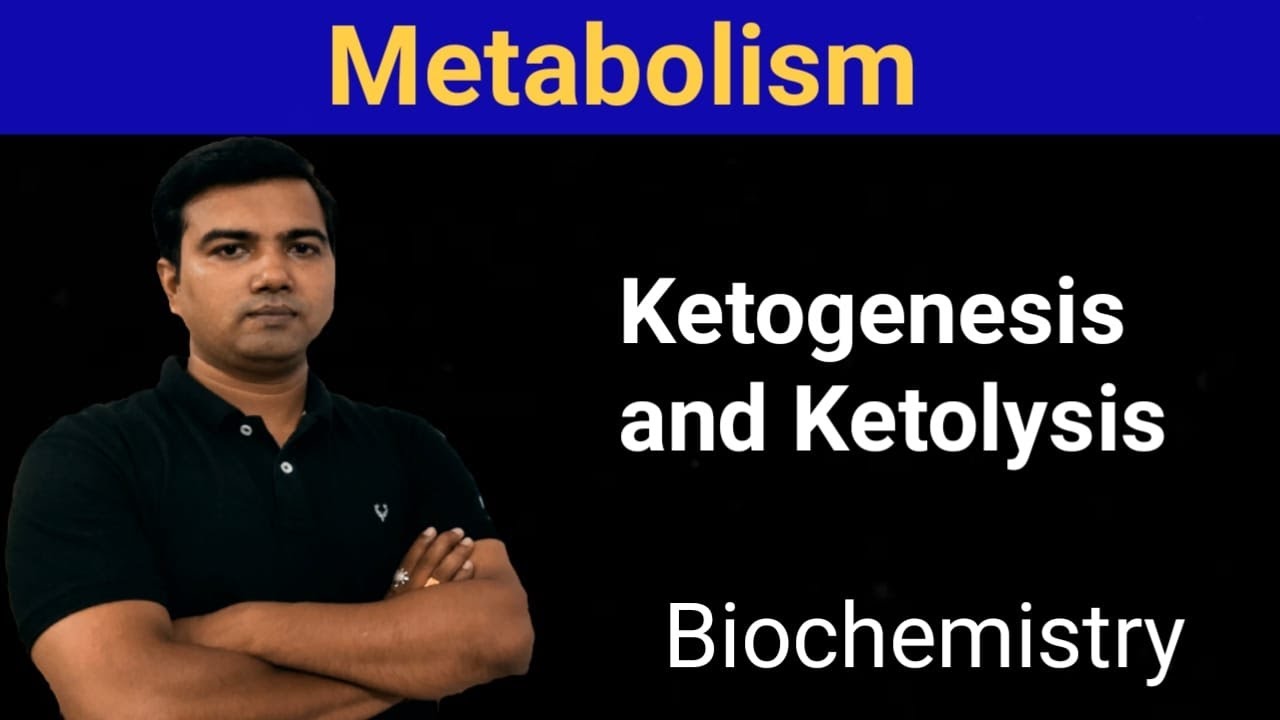 Metabolism (Ketogenesis and Ketolysis) - YouTube