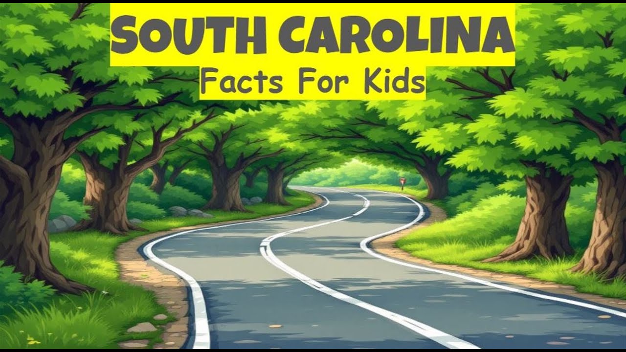 South Carolina State Facts: Everything Kids Need to Know! - YouTube