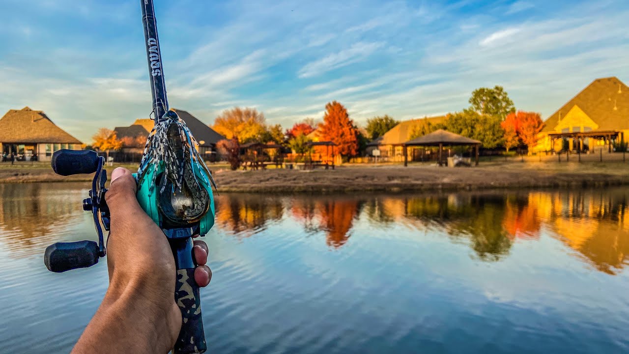 Urban Pond Fishing In Texas (Giant Fish Caught!!!) - YouTube