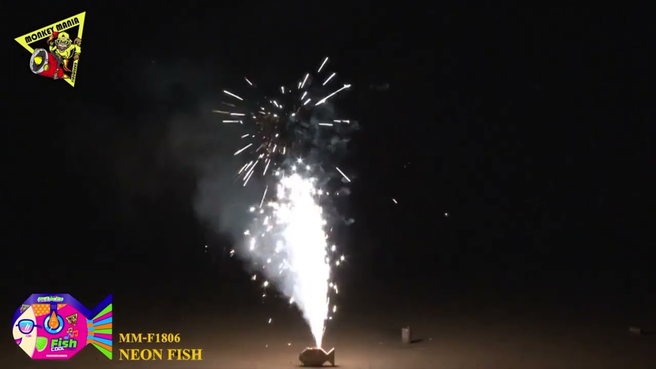 Neon Fish – Casey's Fireworks - YouTube