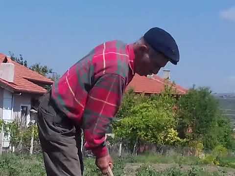 Yağmurdede Köyünde Ayaz Musa Hayat Buldu