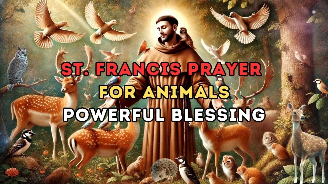 St. Francis Prayer for Animals – A Powerful Blessing for All Creatures ...