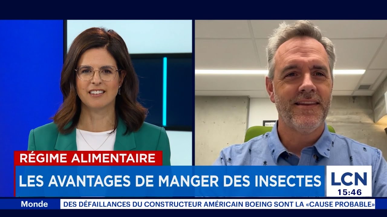 Manger des insectes: bon pour vous, bon pour la planète? | Entrevue ...