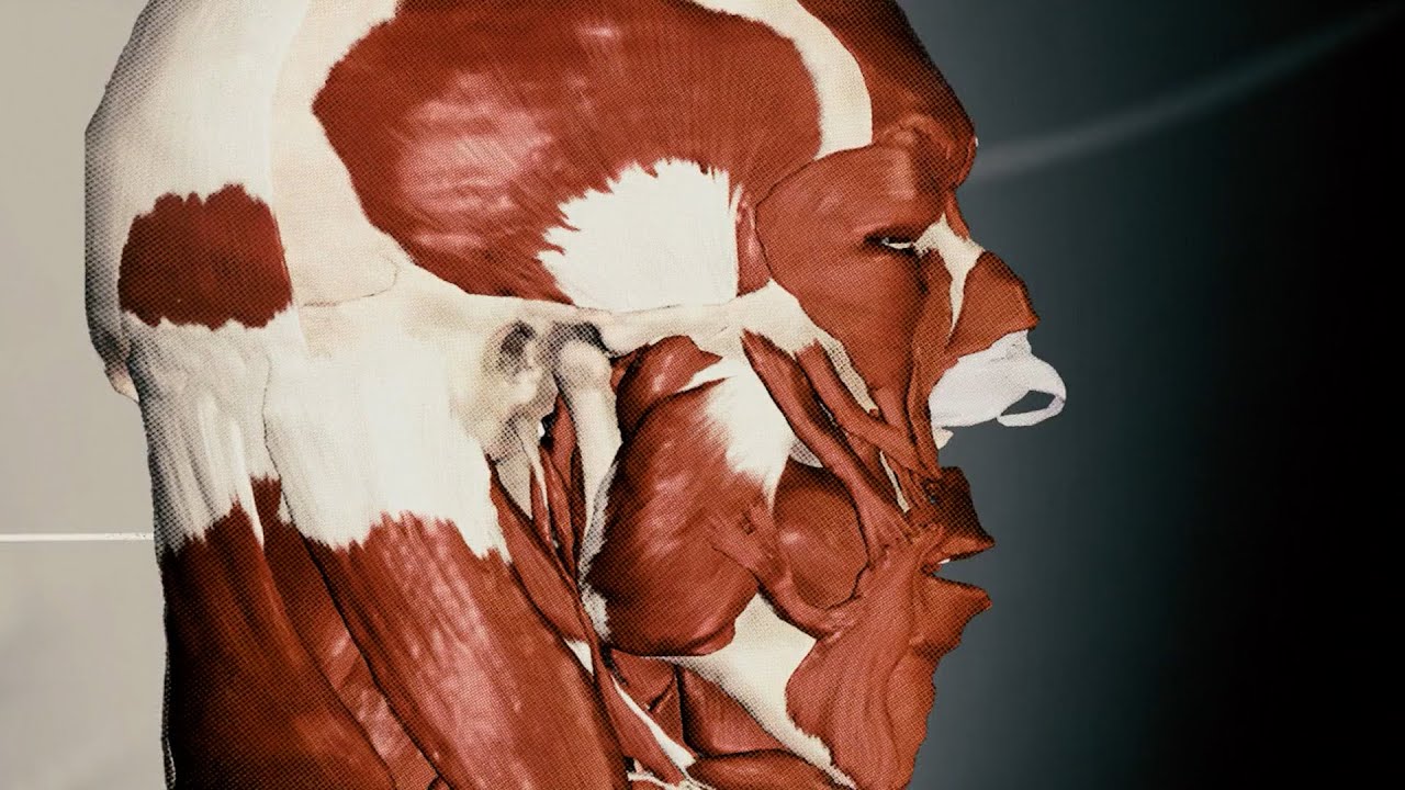 Moby - Memory Gospel - Southland Tales - YouTube