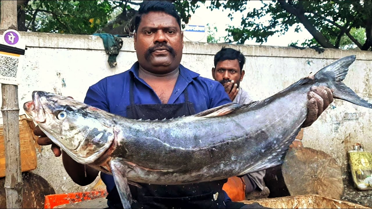 kasimedu selvam ♤kadavaraa meen ♤ cuttingvideo ♤ vanjiram meen super ...