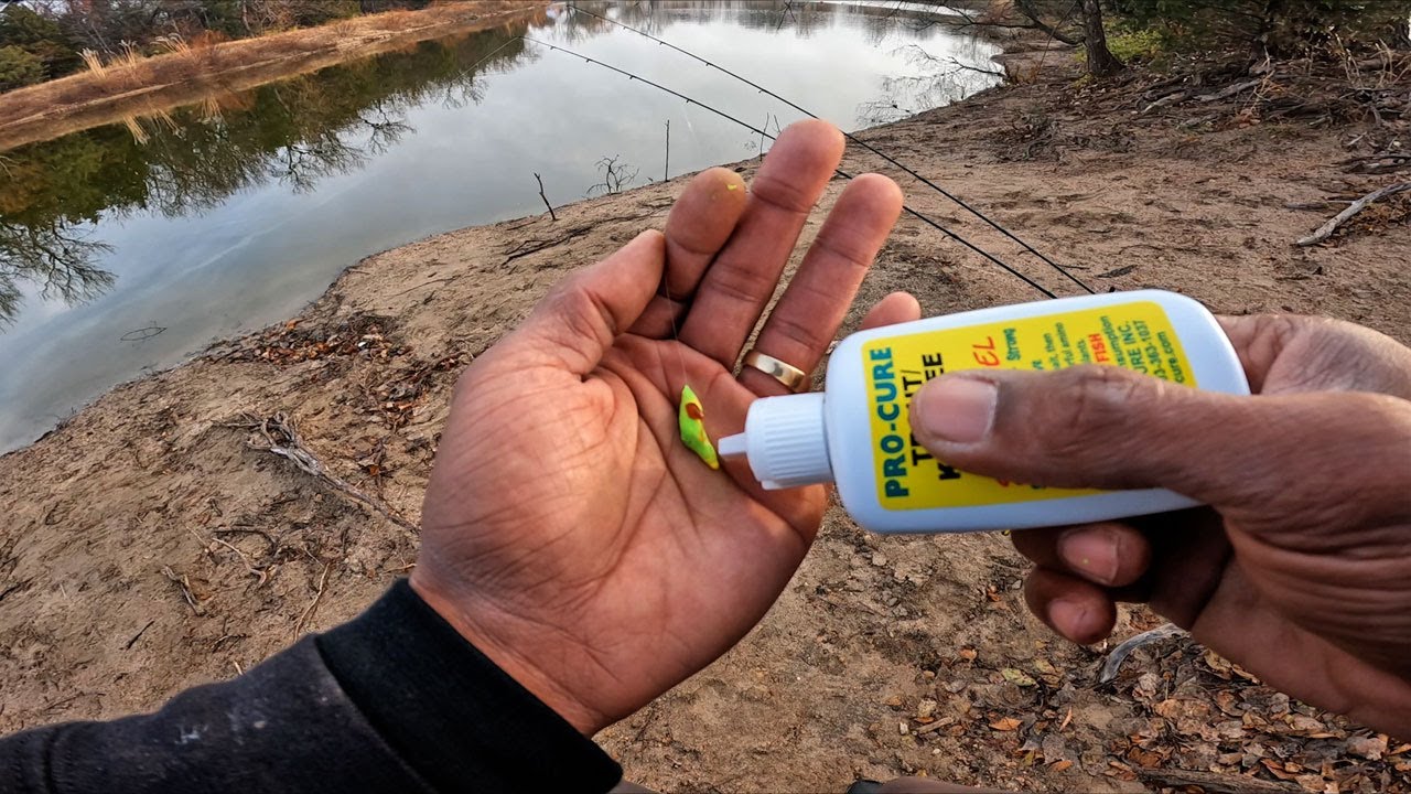 Winter Bank Fishing For Rainbow Trout using PowerBait (Rig/Setup For ...