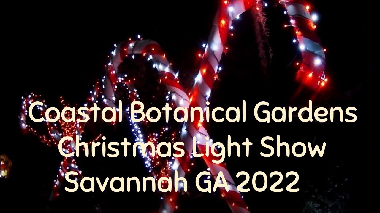 Botanical Gardens Savannah Ga Christmas Lights | Fasci Garden