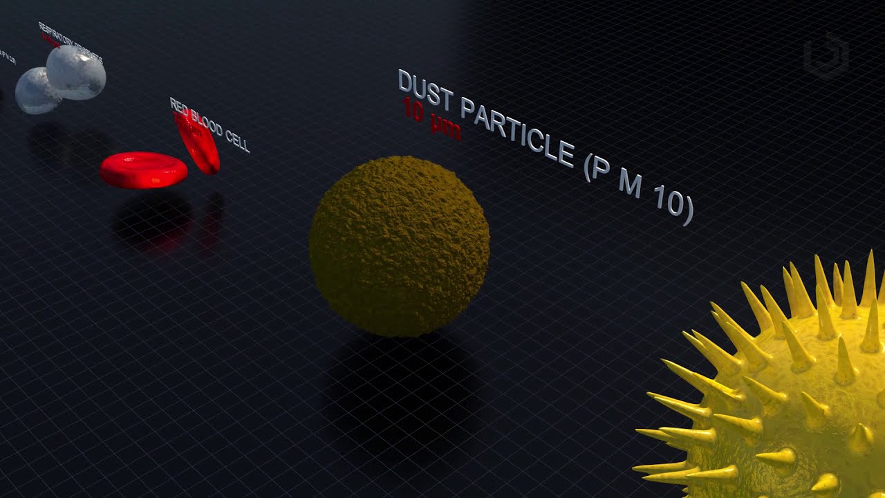 Zooming In: Visualizing the Relative Size of Particles - YouTube