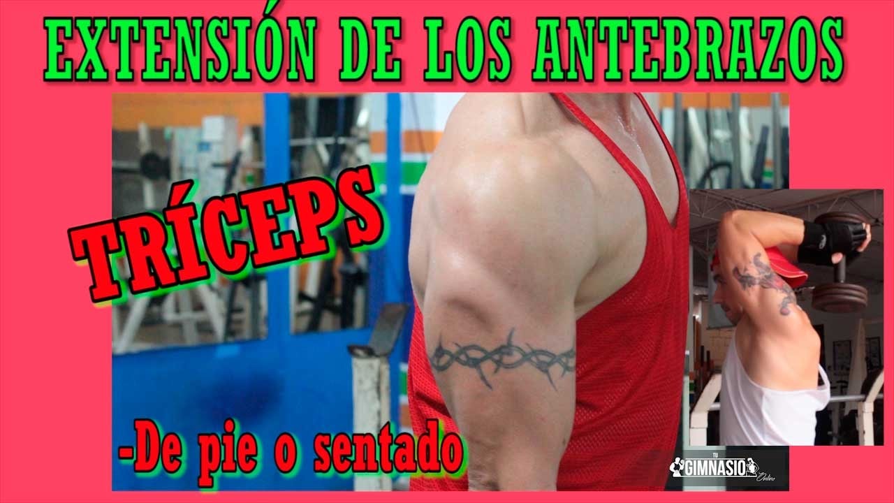 Ejercicios de TRICEPS con mancuerna COPA - YouTube