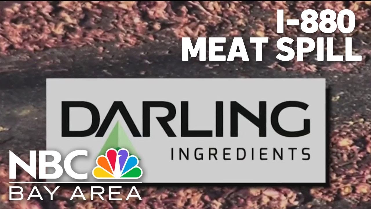 I-880 Meat Spill not a shock - YouTube