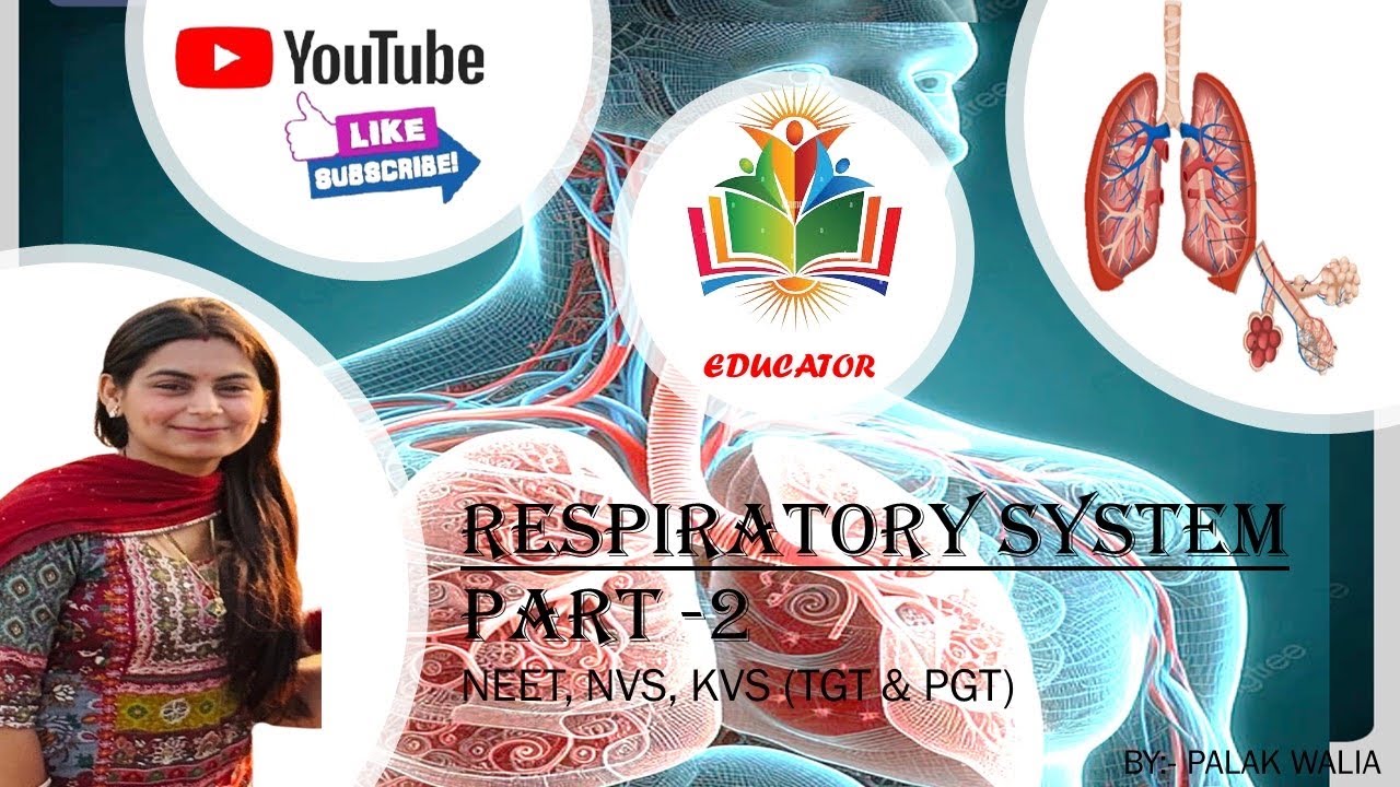 Respiratory system Part -2 for NVS , KVS ,TGT, PGT https://youtu.be ...