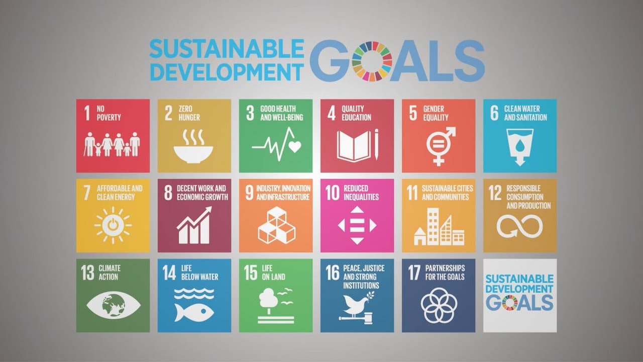 OMAN TOWARDS ACHIEVING SUSTAINABLE DEVELOPMENT GOALS 2030 - YouTube