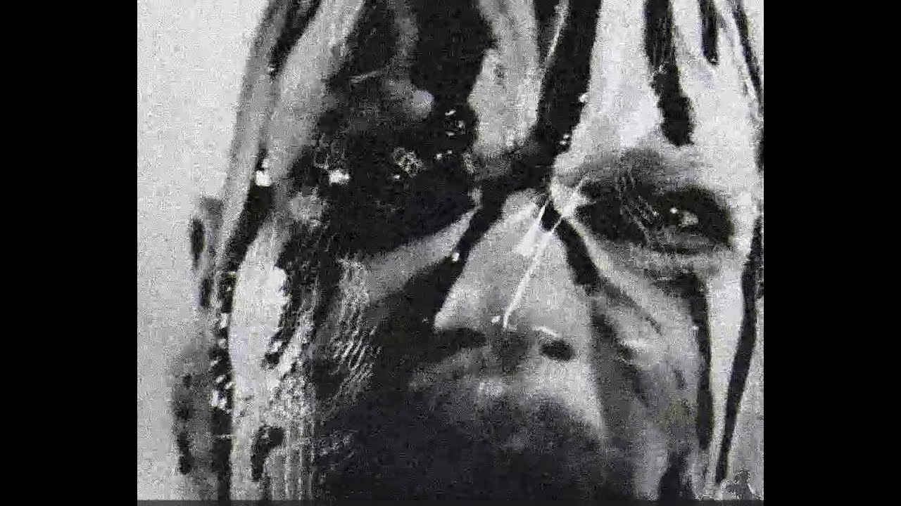 DAMNATA - Enchanted by that cold Nordic wind (LYRIC VIDEO) - YouTube