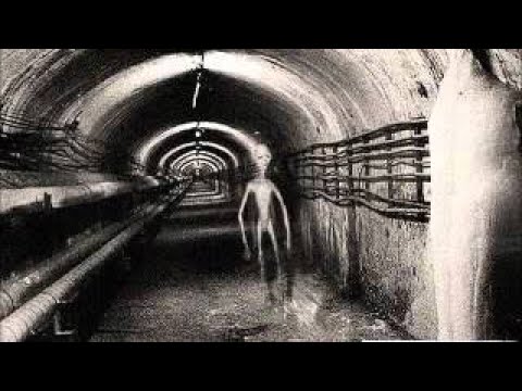The UNKNOWN Ancient Reptilian Humanoids And Underground Bases Part 1 ...