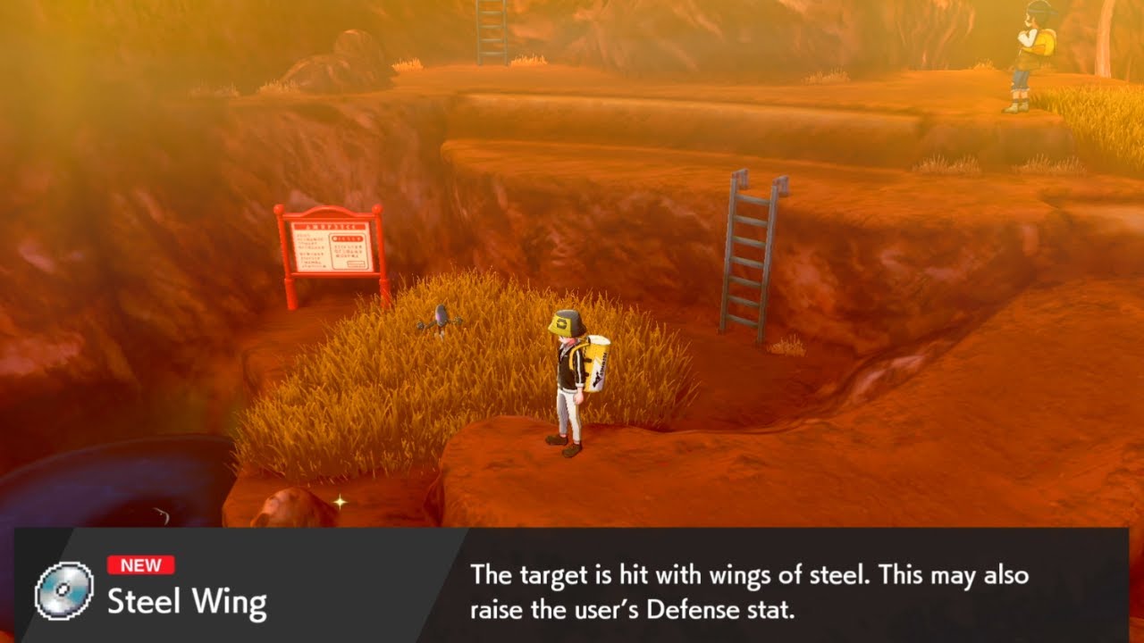 Steel Wing TM Location (Route 6) - Pokemon Sword & Shield - YouTube