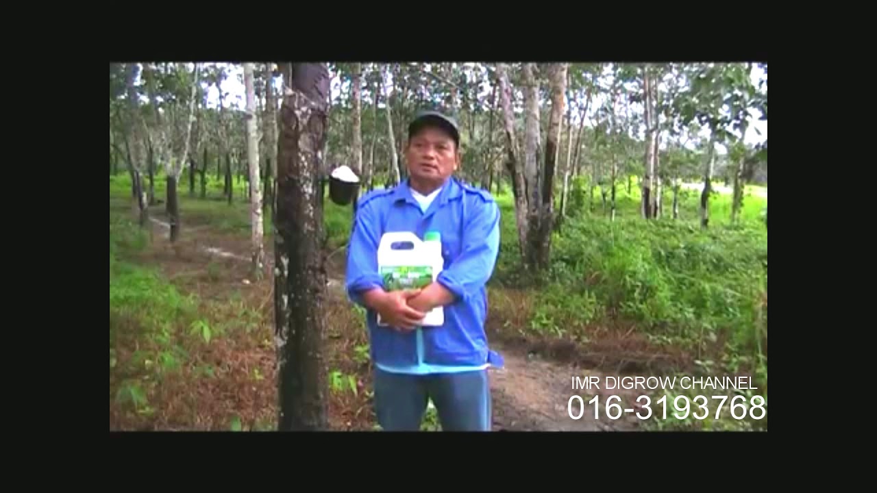 PEMBAJAAN POKOK GETAH | DIGROW - YouTube