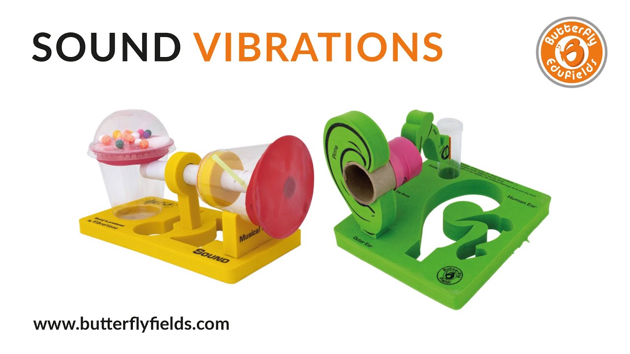 Human Ear Project | DIY SCIENCE | Butterfly Fields - YouTube