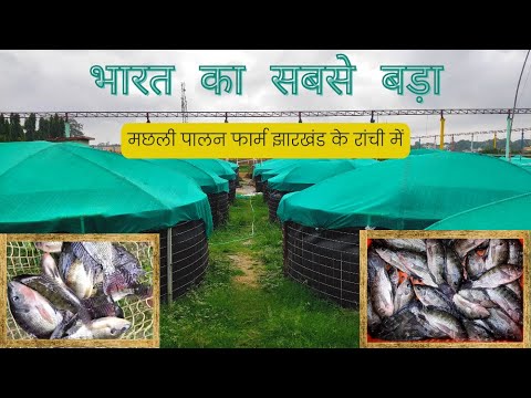 India's biggest fish farm, Fish farming in jharkhand, ranchi me machli ...