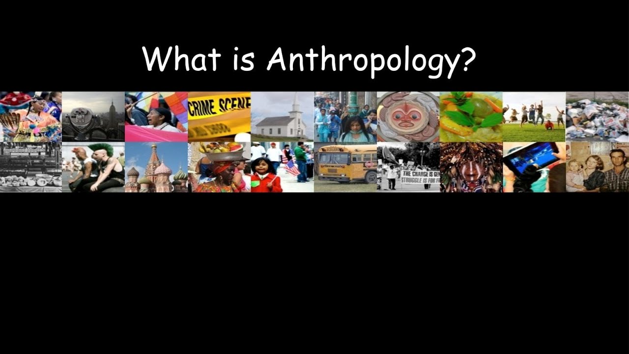 What is Anthropology? - YouTube