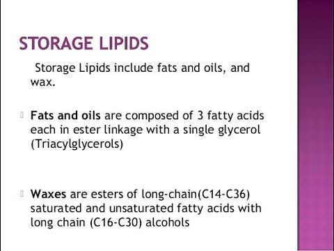 Storage lipids #function of storage lipids #fats and oils #waxes # ...