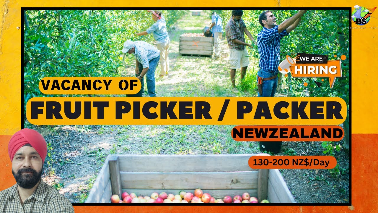 Fruit picker / Packer Job available in NEW ZEALAND. Salary 130-200$/day ...