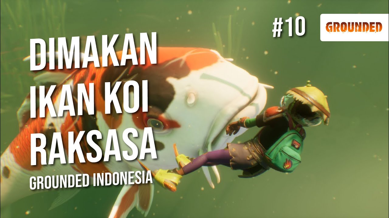 DIMAKAN IKAN KOI RAKSASA | GROUNDED INDONESIA - YouTube