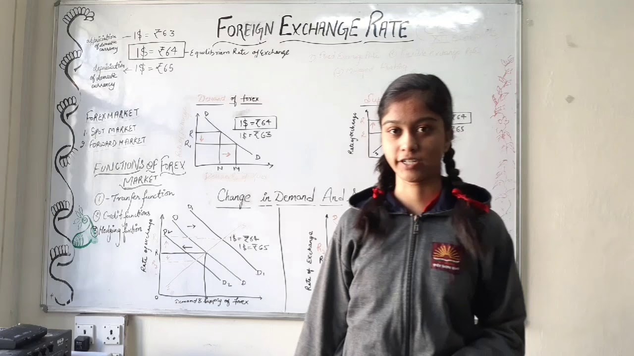 FOREIGN EXCHANGE RATE (PROJECT CBSE CLASS XII) - YouTube
