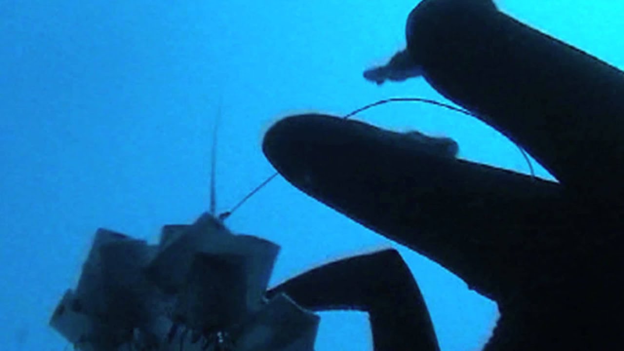 Kalamata 2013 Free Diving World Championships. Estrella Navarro CNF ...