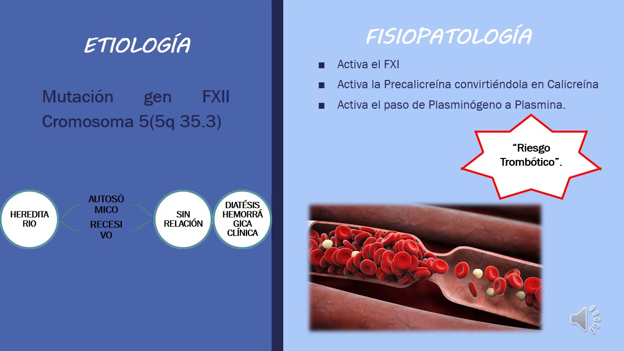 ENFERMEDAD DE HAGEMAN - YouTube