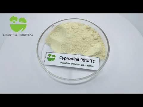 Cyprodinil 98% TC CAS NO. 121552-61-2 Fungicide - YouTube