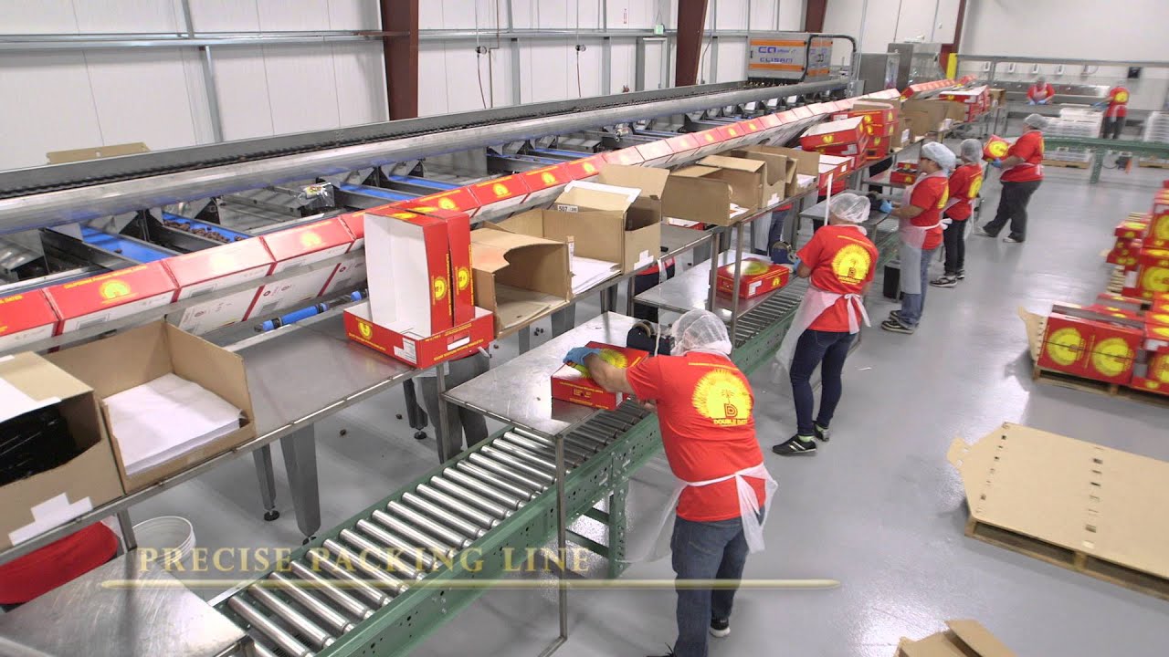 DOUBLE DATE PACKING 2015 OPENING - YouTube