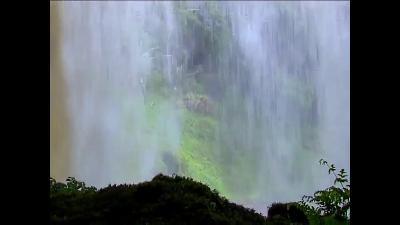 Ilubabor natural forest. Oromia state . Ethiopia. - YouTube