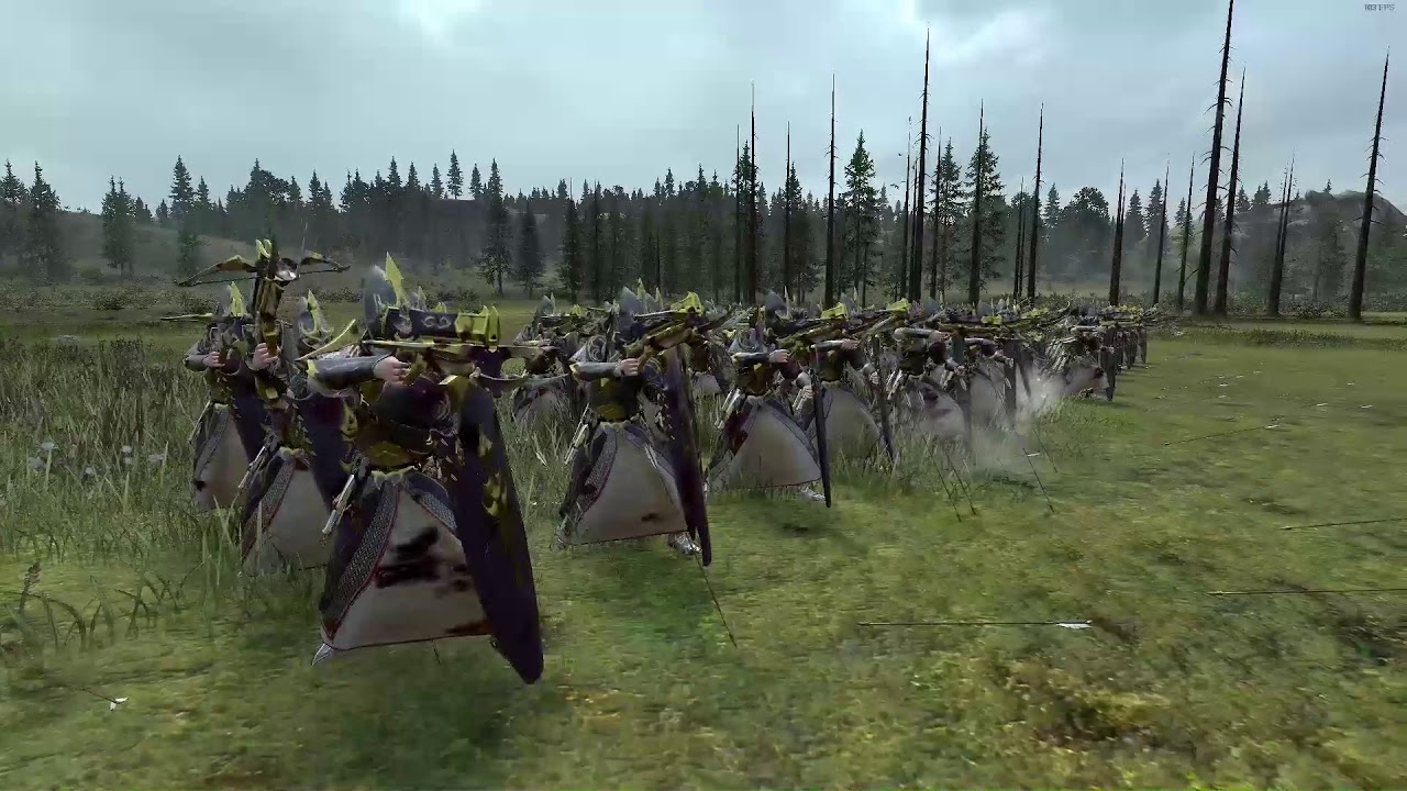 Darkshards (Shields) VS Lothern Sea Guard (shields) | Total War ...