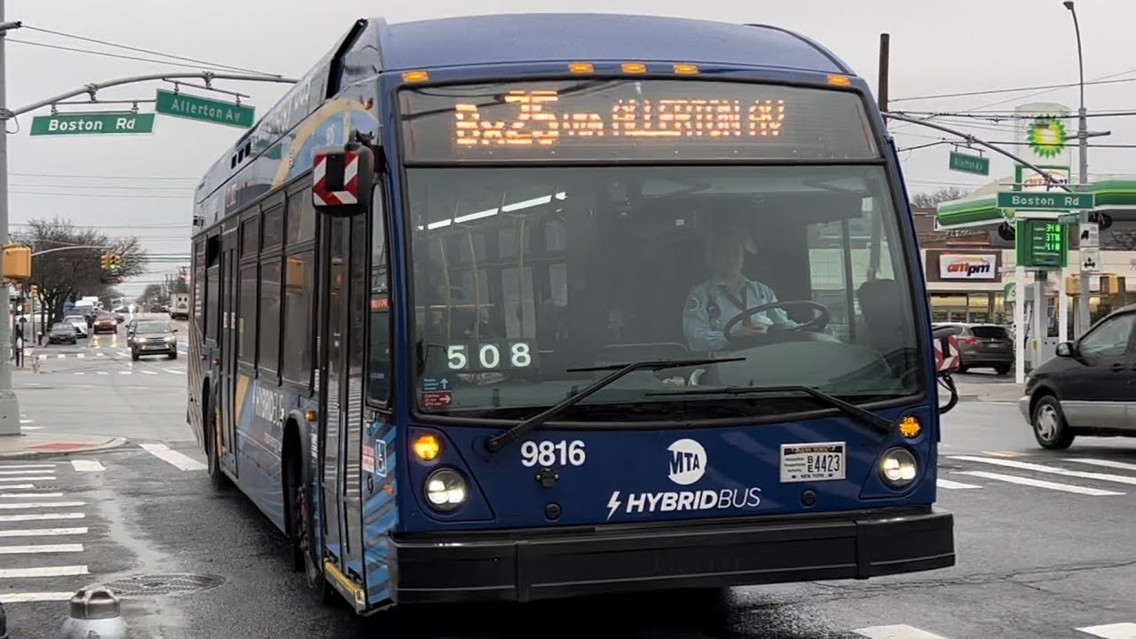 MTA: NovaBus LFS [8339]/[8734]/[8736], NovaBus LFS Hybrid [9725]/[9816 ...