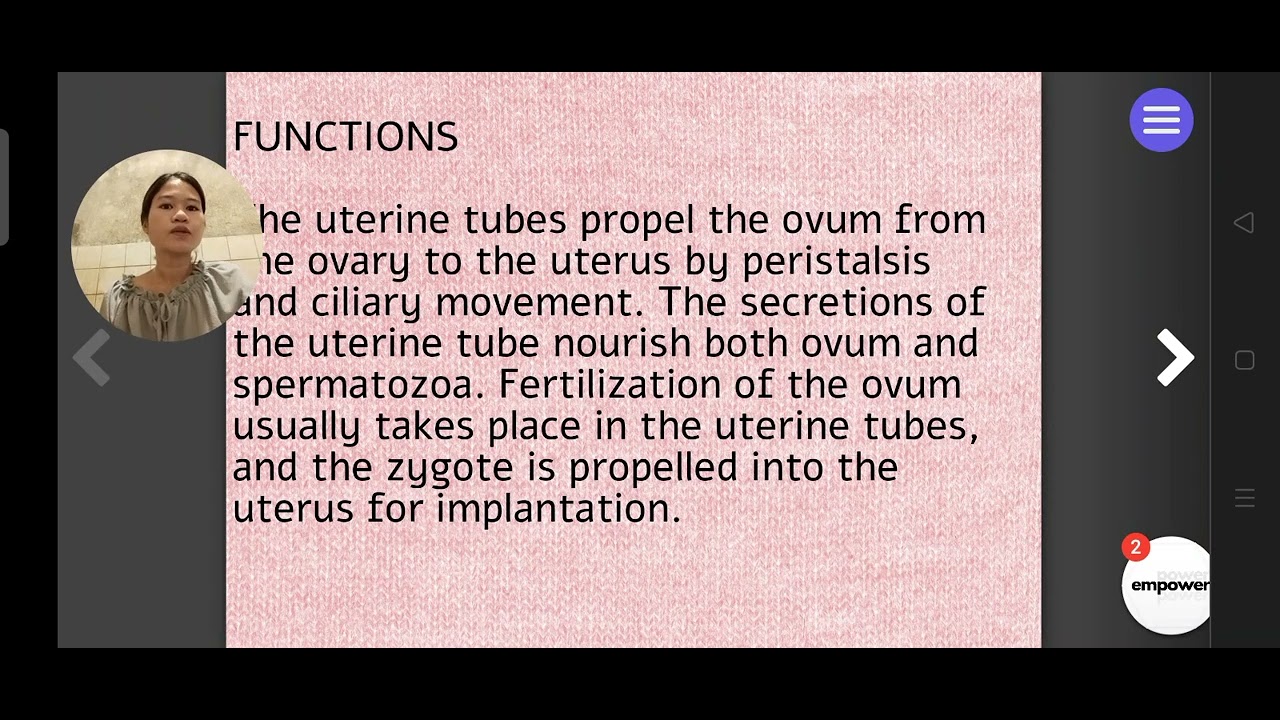 Female Reproductive System (Micro teaching) - YouTube