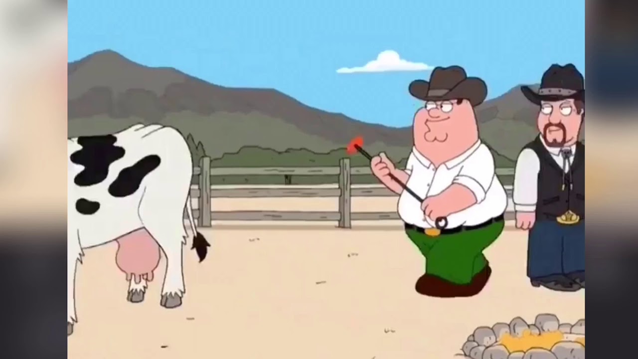 Family Guy .Peter brands his first Cow 🐄, - YouTube