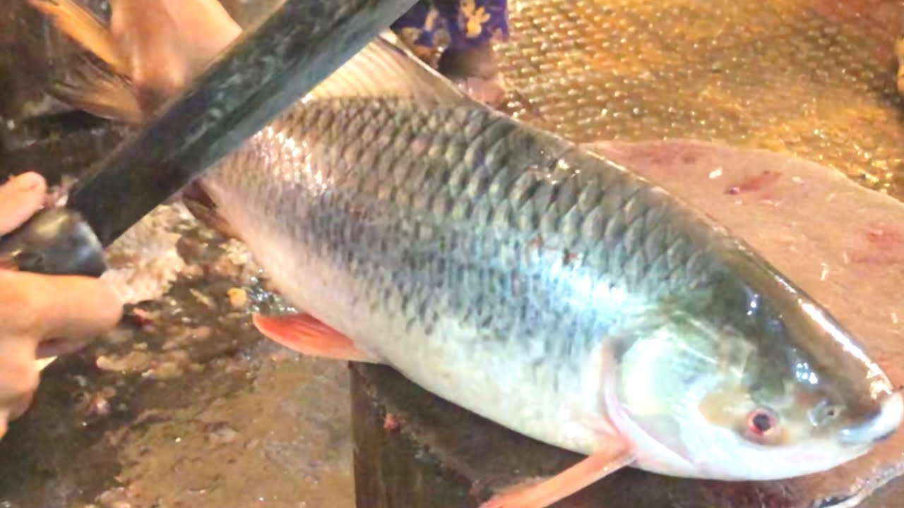 Giant Rohu fish cutting By Skilled Fish Cutter man !! Fresh Fish ...