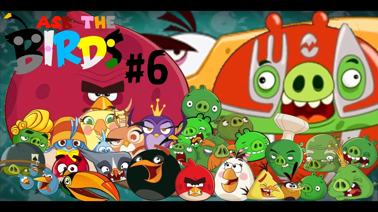 Ask the birds #6 - YouTube