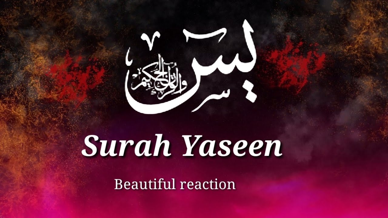 Surah Yaseen full beautiful reaction (سورہ یاسین)Quran Surah Yaseen ...