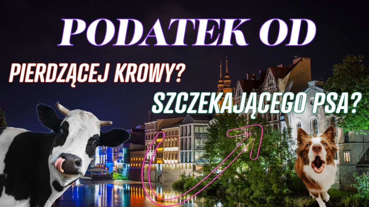 Podatek Od Szczekającego Psa? To Tylko Początek! Najdziwniejsze Podatki ...