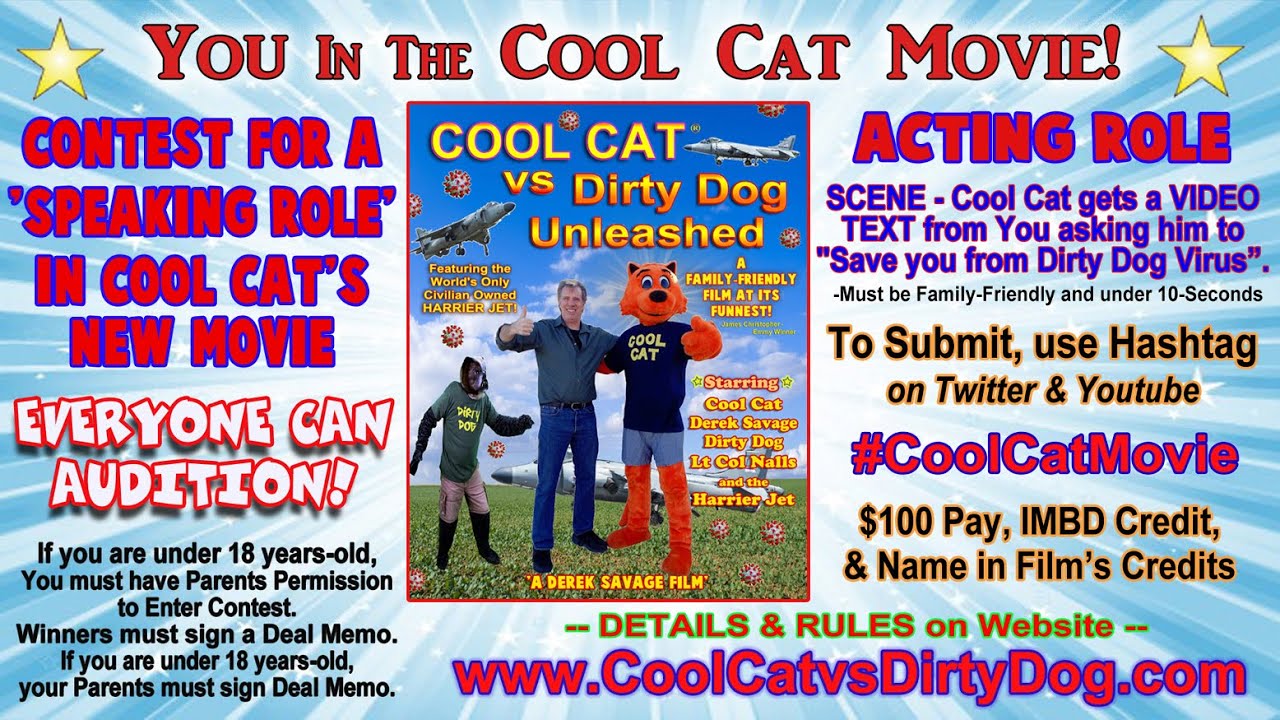 Cool Cat Movie Role Contest Winner announcement - YouTube
