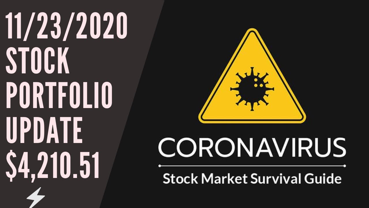 Daily Stock Portfolio Update 11/23/20: Astrazeneca saves the day, Tesla ...