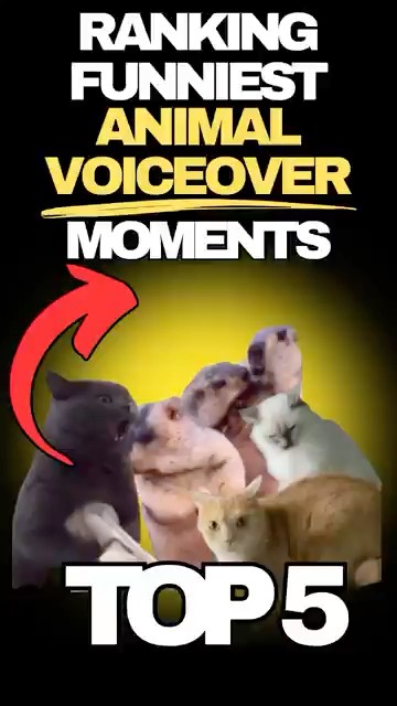 Ranking Funniest Animals Voice Over Moments. #top5 #shorts #edit - YouTube
