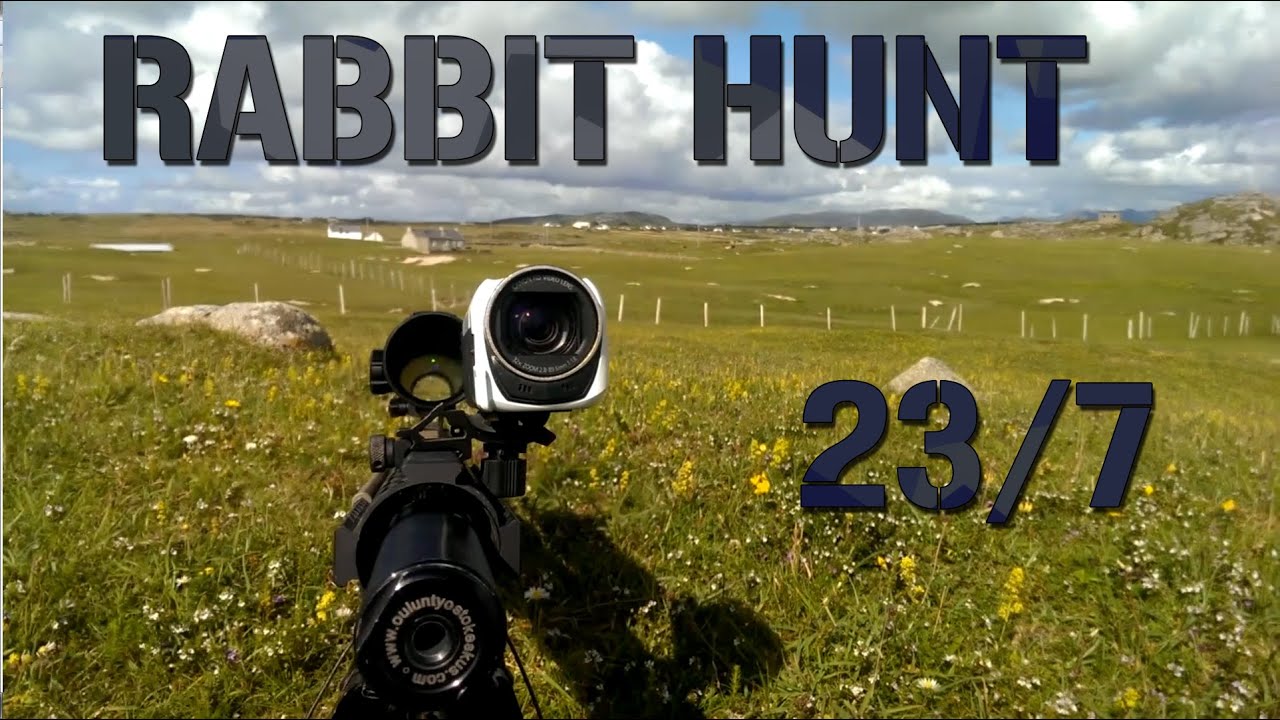 Rabbit Hunting 23/7 Ruger 10/22 .22lr - YouTube