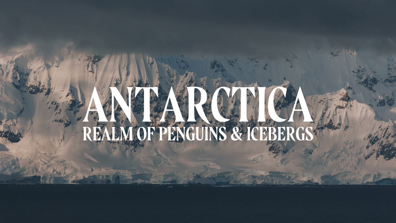A glimpse of Antarctica - Realm of Penguins & Icebergs (4K) - YouTube