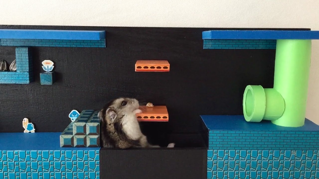 ハムマリオ005（ HAMUMARIO）Hamster Super Mario Bros. WORLD1-2 - YouTube