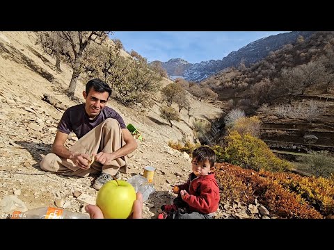 Gathering Firewood: A Nomadic Adventure with the Asona Family