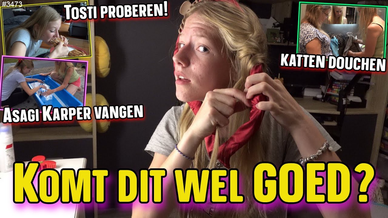 Zondag een DAGJE THUIS. Katten voorbereiden op SHOW! Iets NIEUWS met ...